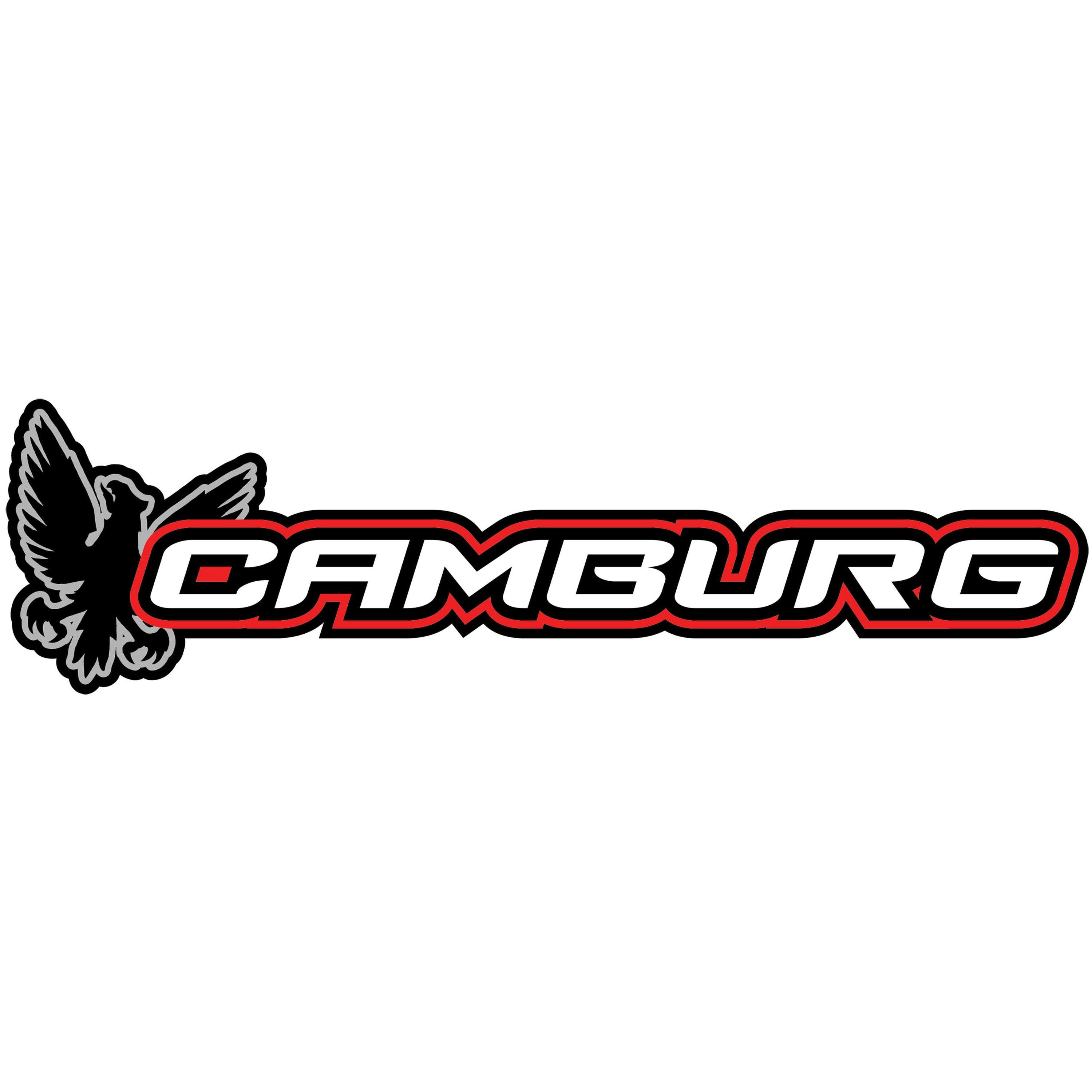 Camburg Sticker 2-Pack - BCA Pink